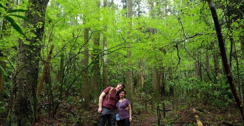 Hakone Hachiri: Old Tokaido Highway Hiking Half-day tour - What Makes This Tour Stand Out?
