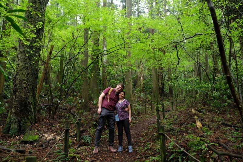 Hakone Hachiri: Old Tokaido Highway Hiking Half-day tour - Final Thoughts