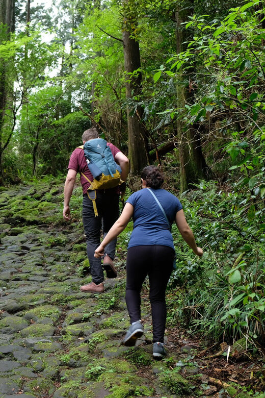 Hakone Hachiri: Old Tokaido Highway Hiking Half-day tour - FAQ