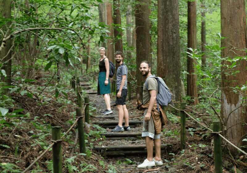 Hakone Hachiri: Old Tokaido Highway Hiking Tour - Authentic Experiences and Highlights