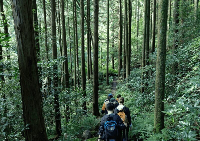 Hakone Hachiri: Old Tokaido Highway Hiking Tour - FAQ