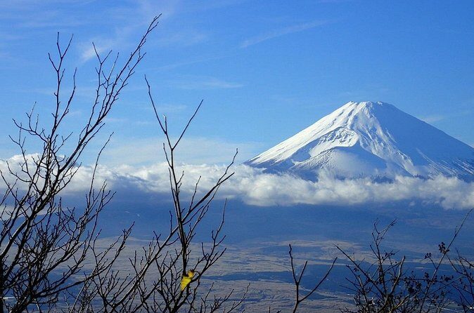 Hakone Luxury Exclusive Tour  Full Day with Chauffeured Vehicle - FAQ