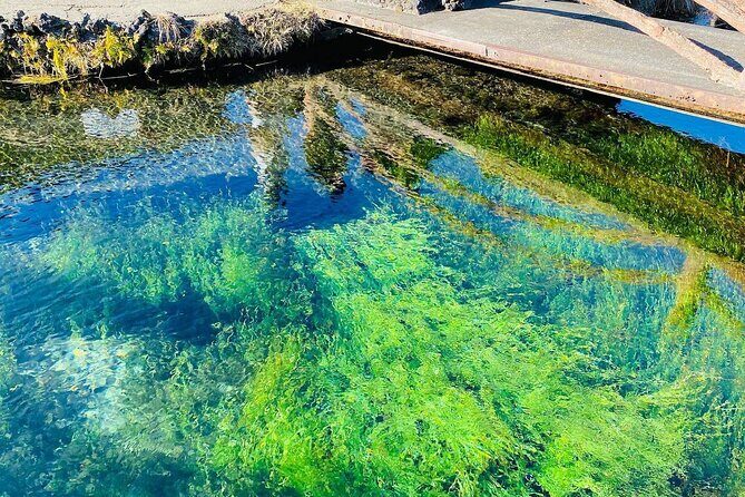 Hakone & Mount Fuji Day Trip:Lake Ashi Torii Gate & Oshino Hakkai - The Itinerary in Detail: A Day of Natural and Cultural Discovery