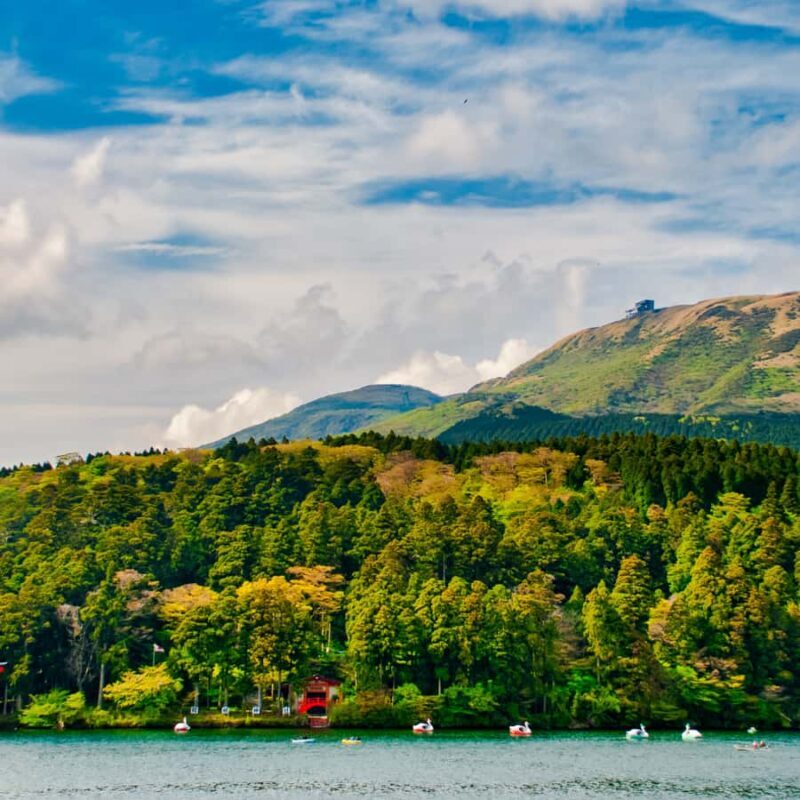 Hakone: Mt. Fuji & Izu Private Tour with Lunch & Tickets - Key Points