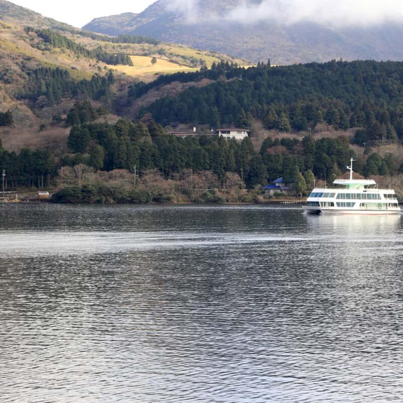 Hakone: Mt. Fuji & Izu Private Tour with Lunch & Tickets - The Itinerary: What You Can Expect