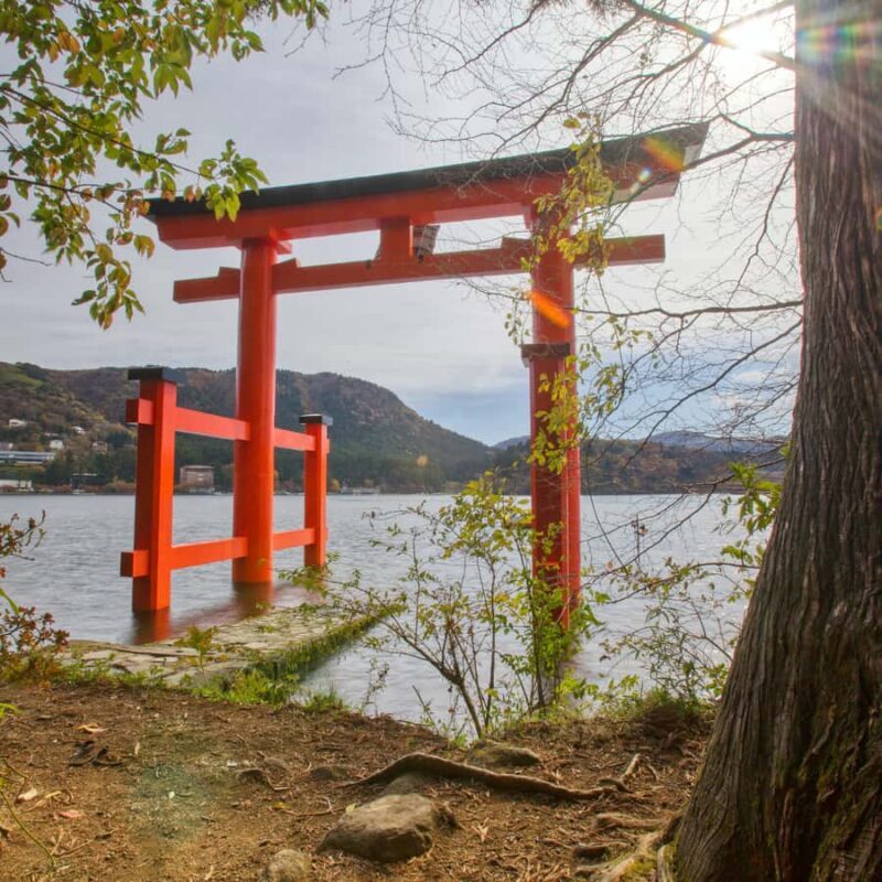 Hakone: Mt. Fuji & Izu Private Tour with Lunch & Tickets - Who Will Love This Tour?