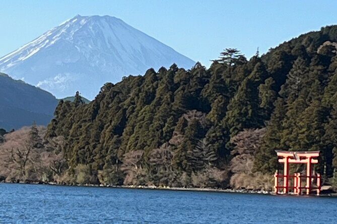 Hakone Old Tokaido Road Hiking Tour to Hakone Shrine - Who Will Love This Tour?