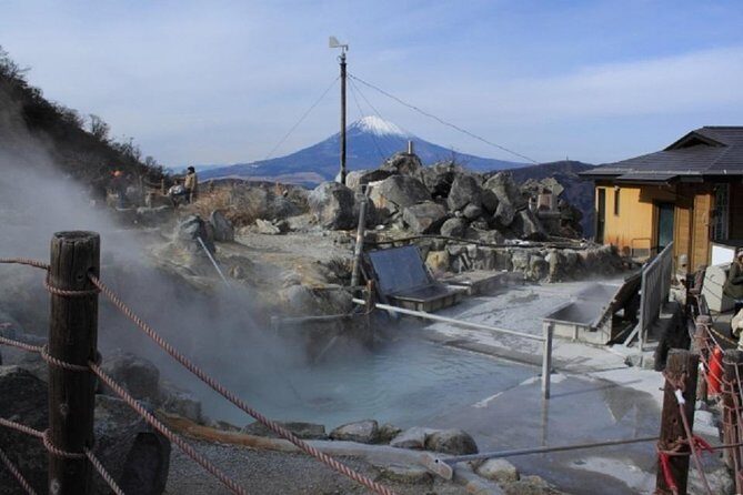 Hakone Onsen Experience, Lake Ashi, Open-Air Museum Tour - Analyzing the Experience in Detail