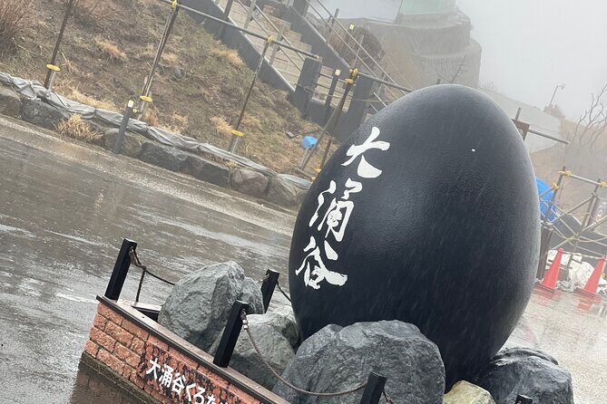 Hakone Private Car Sightseeing Tour - Who Will Love This Tour?