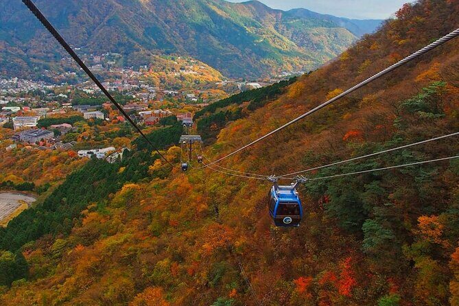 Hakone Private Day Trip with English Speaking Driver From Tokyo - What Travelers Love