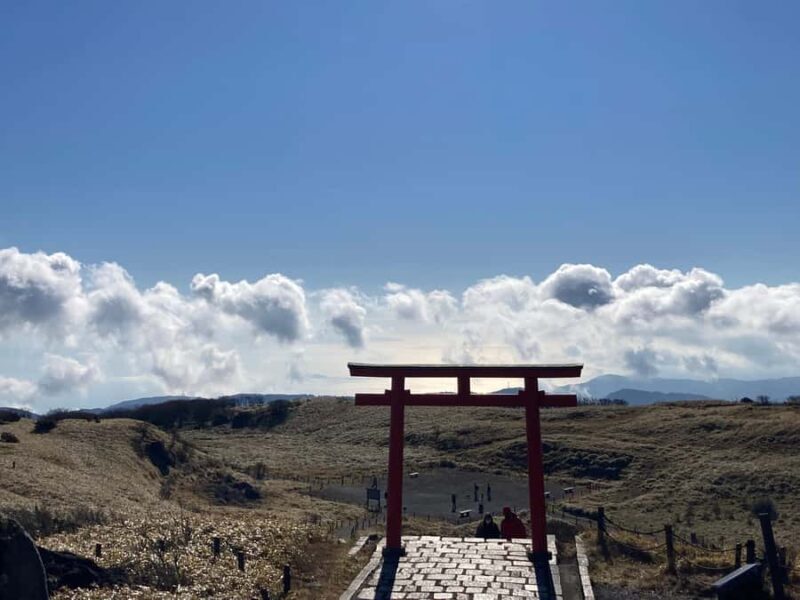 Hakone Private Tour: Bespoke Day from Your Hotel - A Deep Dive into the Hakone Private Tour Experience