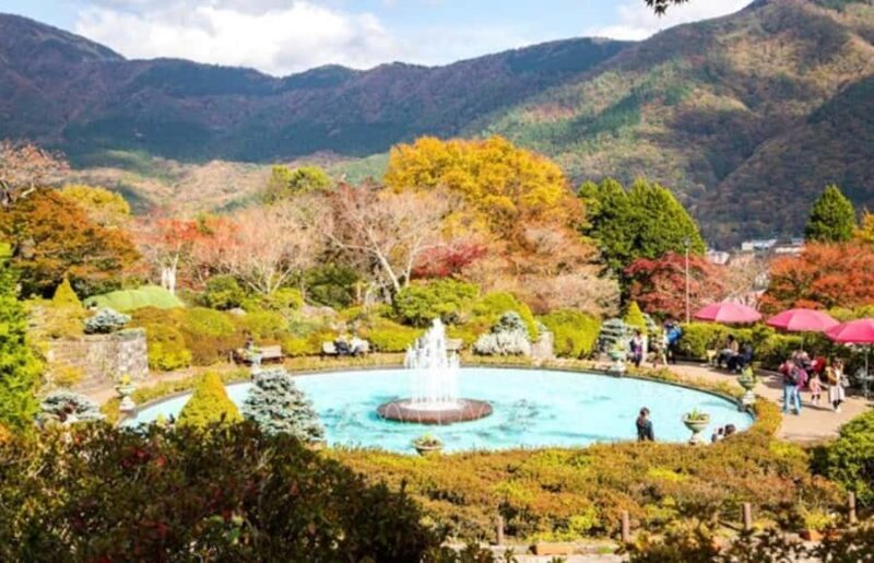 Hakone Private Tour from Tokyo  Lake Ashi & Owakudani - Price & Value: Is It Worth It?