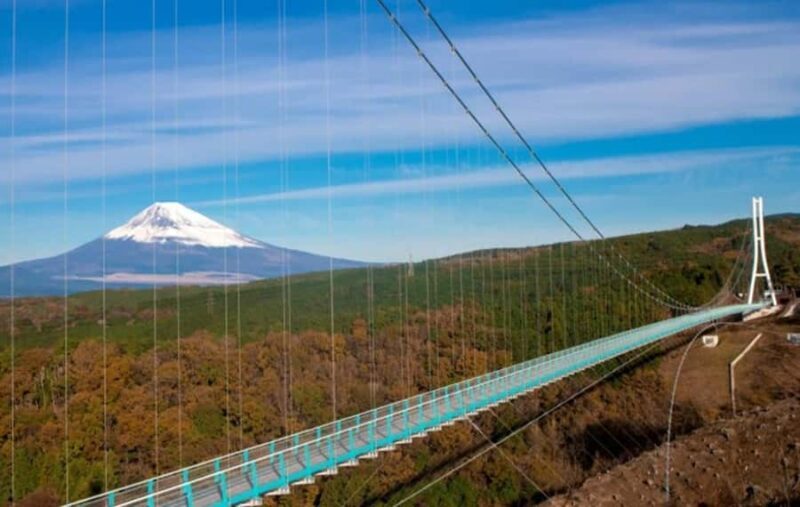 Hakone Private Tour from Tokyo  Lake Ashi & Owakudani - Final Thoughts