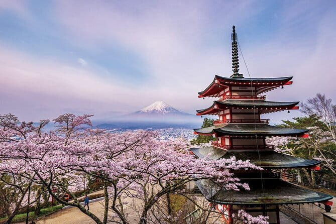Hakone Private Tour: Onsen, Lake Ashi Cruise & Mt. Fuji Views - FAQs