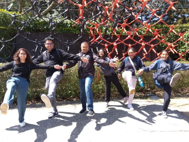 Hakone : Private Tour with Government-Licensed Guide - A Detailed Look at the Itinerary