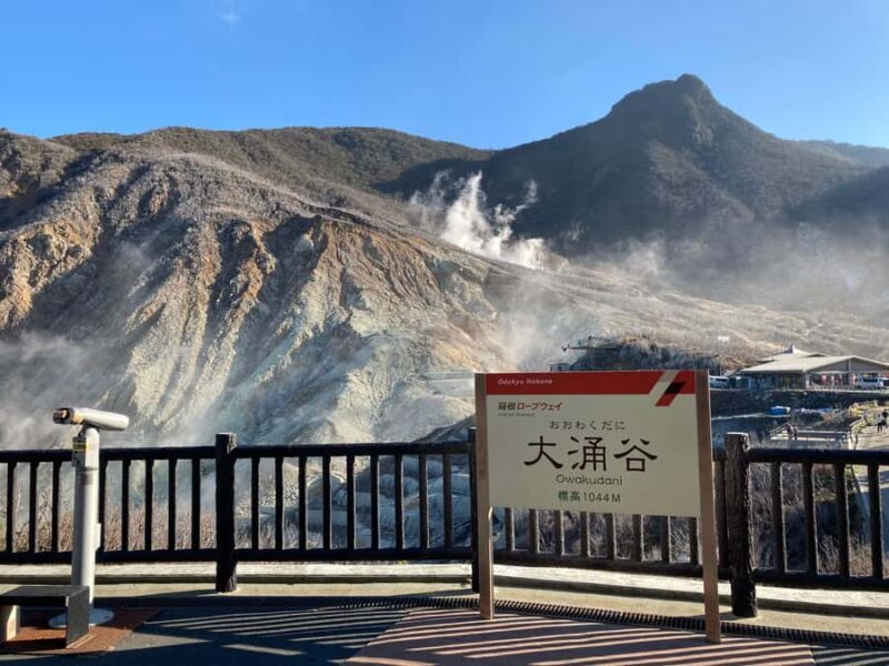 Hakone: Train Pass with Unlimited Rides & Activity Discounts - The added value of attraction discounts