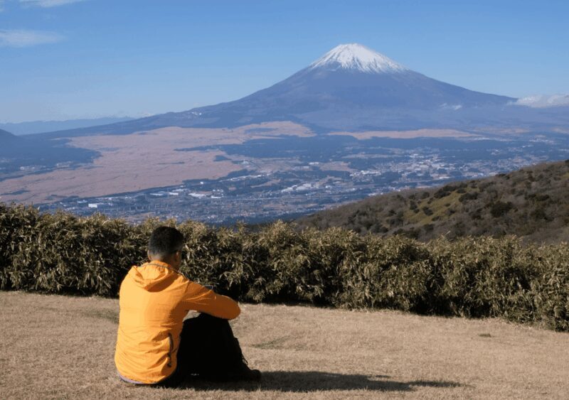 Hakone: Traverse the Hakone Caldera and Enjoy Onsen - Key Points