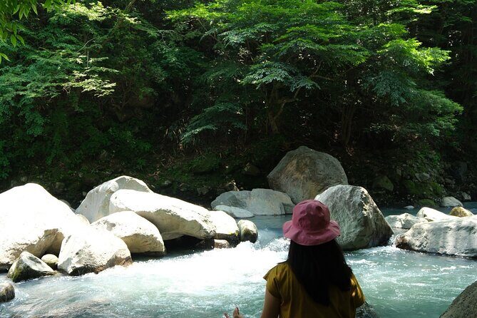 Hakone Valley Hike, Forest Bathing and Wagashi shop (Half-day) - A Walk in the Woods: What to Expect