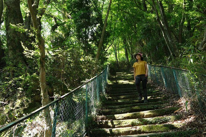 Hakone Valley Hike, Forest Bathing and Wagashi shop (Half-day) - Authenticity and Value