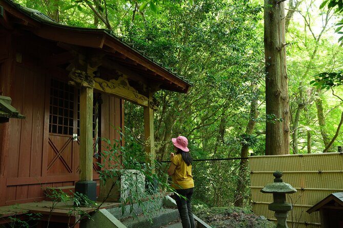 Hakone Valley Hike, Forest Bathing and Wagashi shop (Half-day) - Who Will Love This Tour?