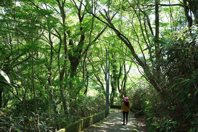 Hakone Valley Hike, Forest Bathing and Wagashi shop (Half-day) - Frequently Asked Questions