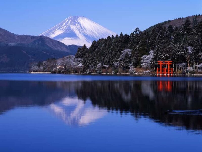 Hakone&Mt. Fuji Day Trip: Ropeway, Owakudani, Oshino Hakkai - Who Should Consider This Tour?