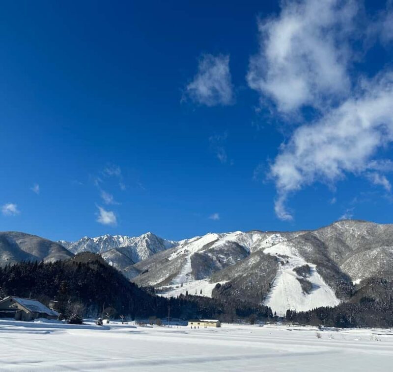 Hakuba: Onsen and Izakaya Night Tour with Dinner - An In-Depth Look at the Hakuba Onsen and Izakaya Night Tour
