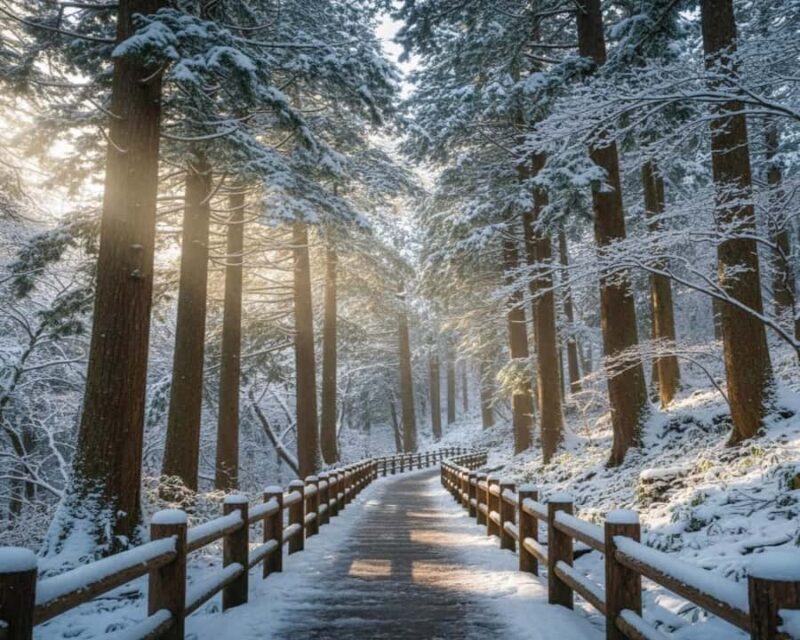 Hakuba: Snow Monkeys and Alpine Escape Private Tour - An In-Depth Look at the Hakuba Snow Monkeys and Alpine Escape Private Tour