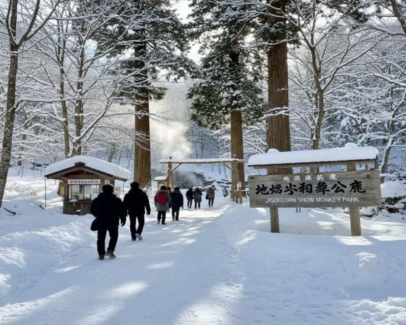 Hakuba: Snow Monkeys and Alpine Escape Private Tour - FAQ