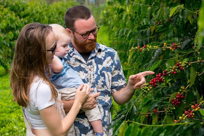Hala Tree Coffee Farm Tour - FAQ