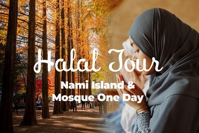 Halal-Nami Island & Central Mosque & Petite France & RailBike - Exploring the Itinerary in Detail