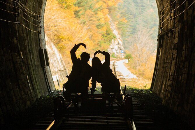 Halal-Nami Island & Central Mosque & Petite France & RailBike - The Sum Up: Who Is This Tour Best For?