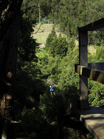 Haleakala 6 Line Zipline Adventure - FAQ