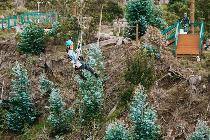 Haleakala National Park Sunrise and Zipline Tour - Authentic Reviews and Real Experiences