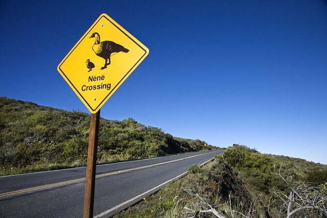 Haleakala Sunset and Stargazing Audio Tour - FAQ