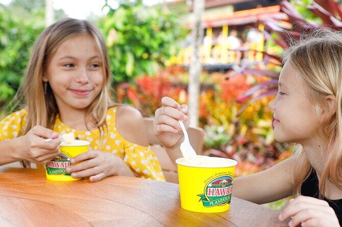 Haleiwa Express & Dole Plantation - A Detailed Look at the Tour