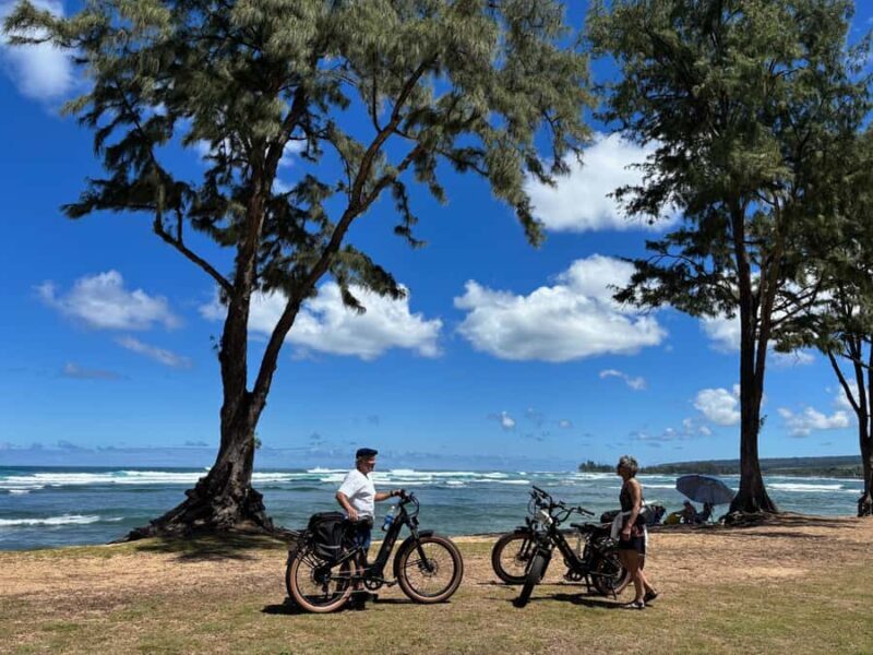 Haleiwa: North Shore Guided Electric Bike Tour - An In-Depth Look at the Tour Experience