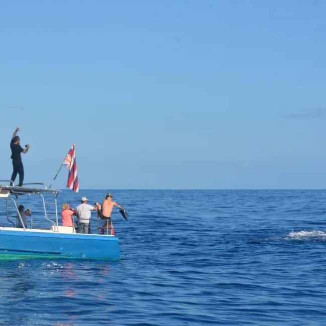 Haleiwa: North Shore Whale Watching Tour by Catamaran - The Sunset at Point of Puaena