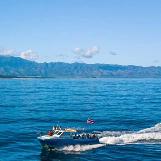 Haleiwa: North Shore Whale Watching Tour by Catamaran - Practicalities and Tips