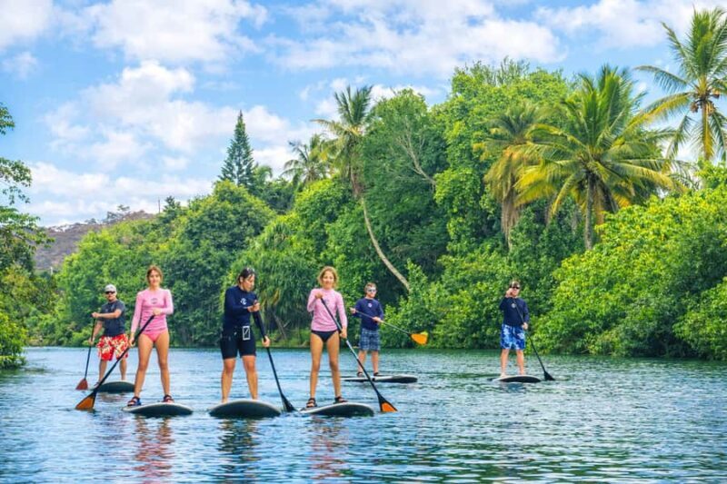 Haleiwa: Stand-Up Paddleboard Rental With Delivery & Pick Up - Practical Details and Tips