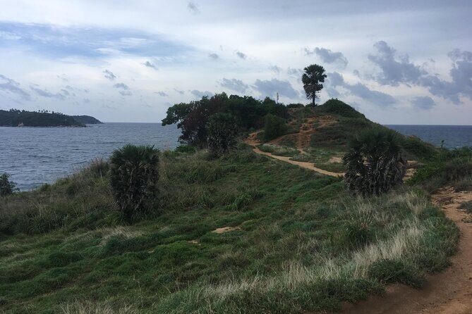 Half Day 3 Khai Island Tour Snorkeling Swimming Adventure Phuket - Who Would Love This Tour?