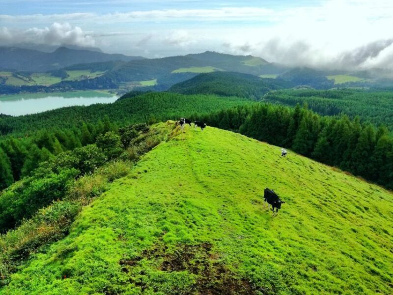 Half-Day 4X4 Tour Sete Cidades. Off the beaten Track. - Who This Tour Is Best For