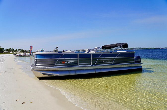 Half Day 60HP Pontoon Rental to Shell Island - In The Sum Up