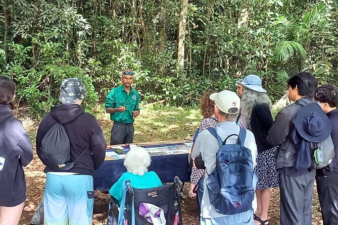 Half-Day Aboriginal Tour Atherton Tablelands - Discovering the Heart of Yidinji Country