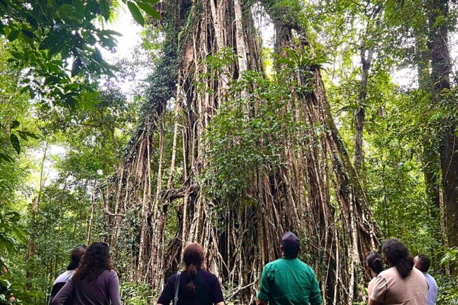 Half-Day Aboriginal Tour Atherton Tablelands - Who Should Consider This Tour?