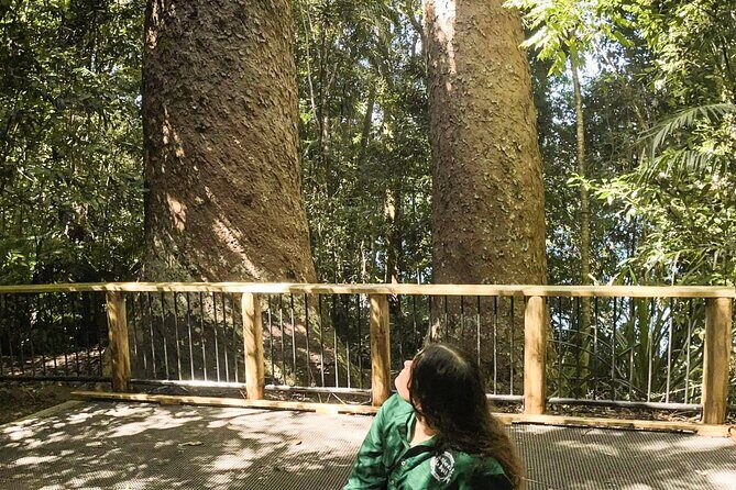 Half-Day Aboriginal Tour Atherton Tablelands - FAQs