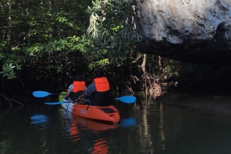 Half day Adventure Kayaking at Mangrove forest - Key Points