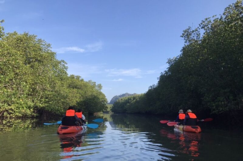 Half day Adventure Kayaking at Mangrove forest - A Closer Look at This Krabi Kayaking Adventure