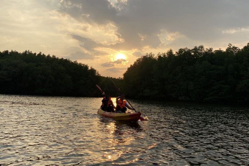Half day Adventure Kayaking at Mangrove forest - Who Will Love This Tour?