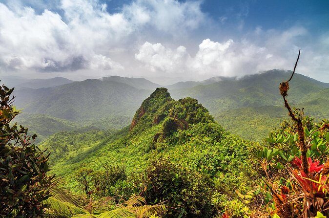 Half Day Adventure Private Tour in El Yunque Rainforest - Authentic Experiences and Authenticity